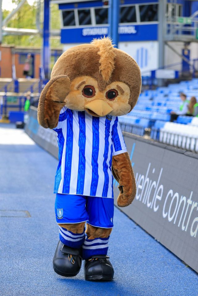 Sheffield Wednesday mascot protests against club owner: Barnie Owl's ...