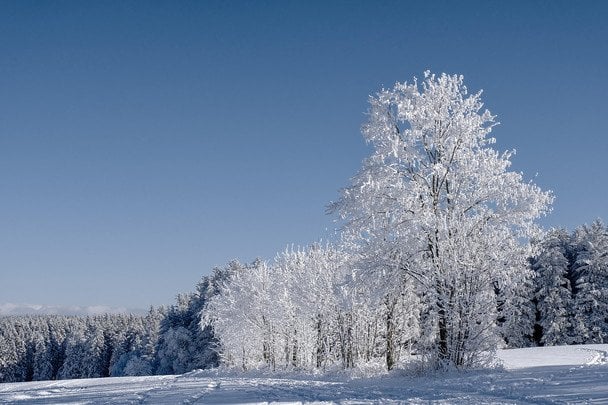 Ukraine Weather Outlook for January 23: Snowfall Forecast and Regional ...